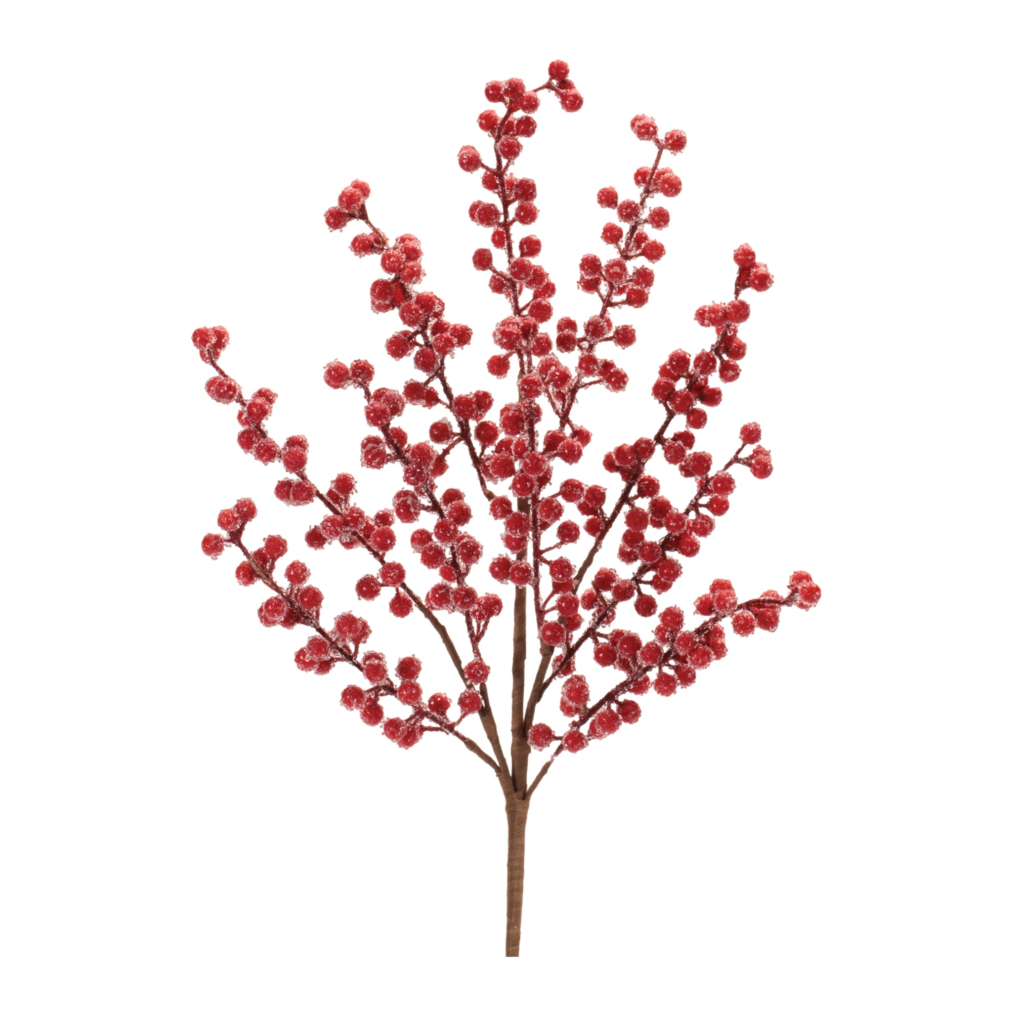 Iced Berry Spray 22.5”H Foam