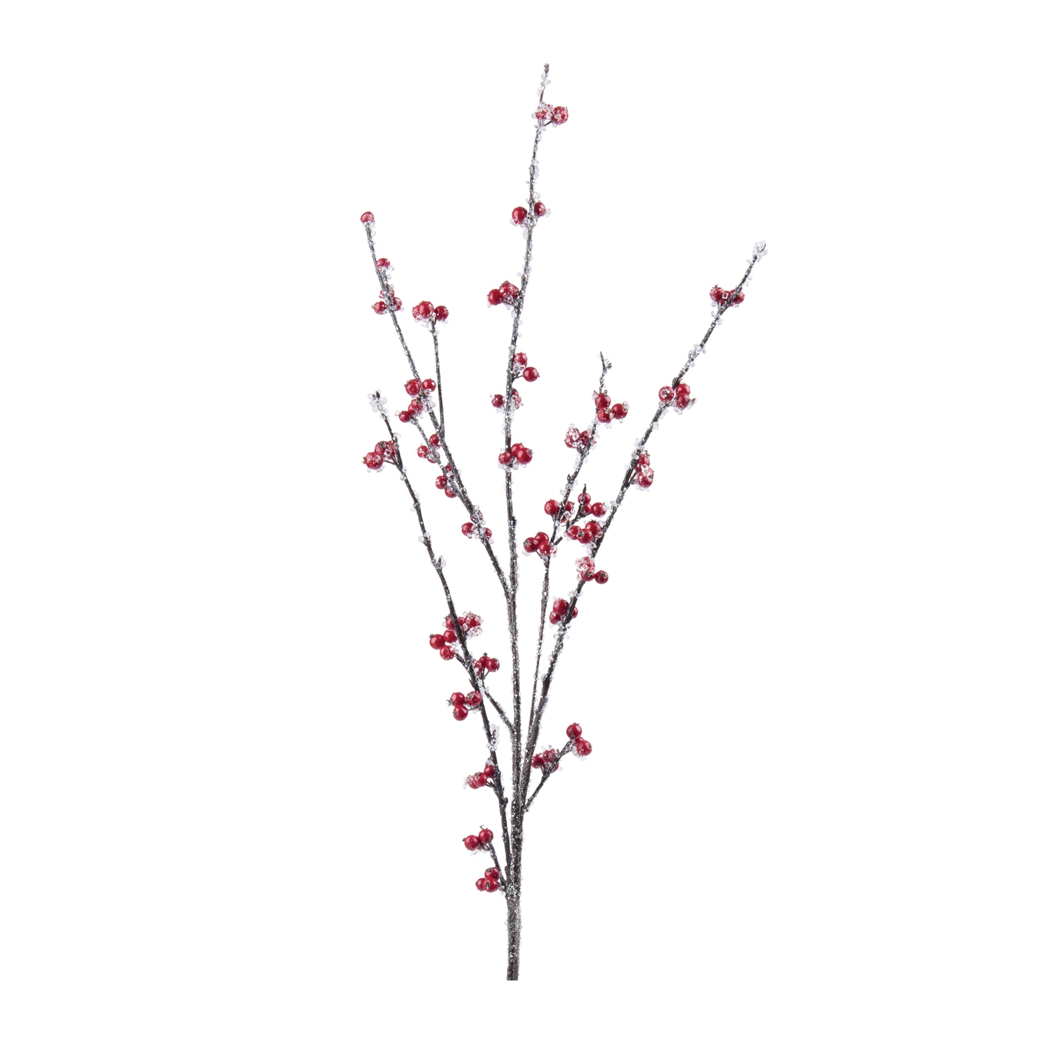 Iced Berry Spray 36”H Foam